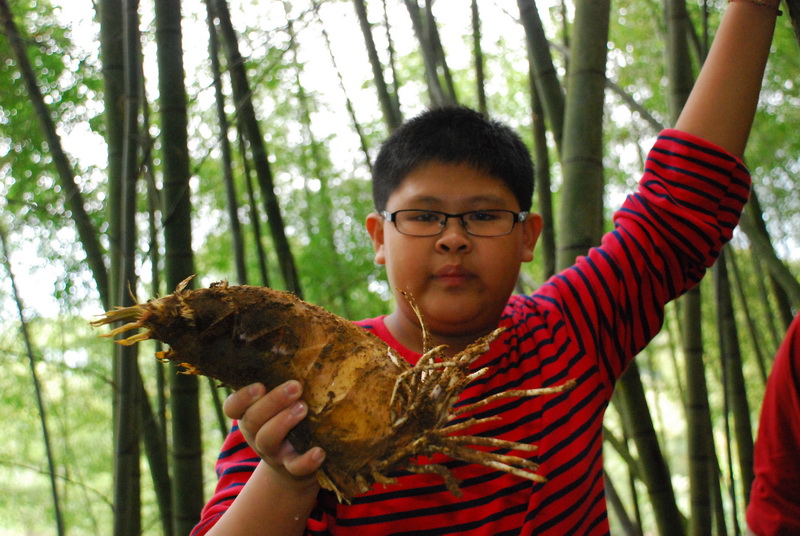 產地體驗-藤枝山農採筍篇活動日期：2014-03-29 - BeClass 線上報名系統 Online Registration Form