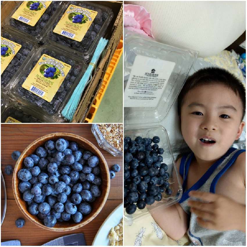 美國有機藍莓，Richard Franke理查.法蘭基2天預購快閃團活動日期：2020-07-27 - BeClass 線上報名系統 ...